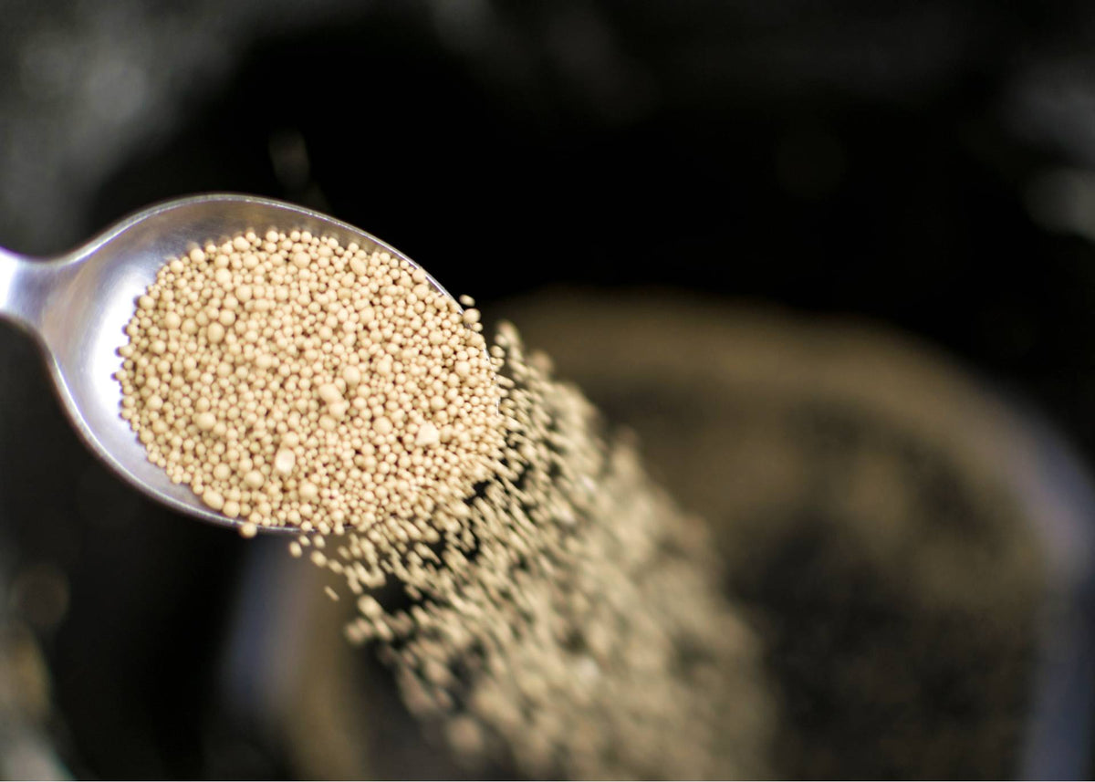 Homemade Yeast Making Guide: How To Make Yeast At Home Easily and Quic